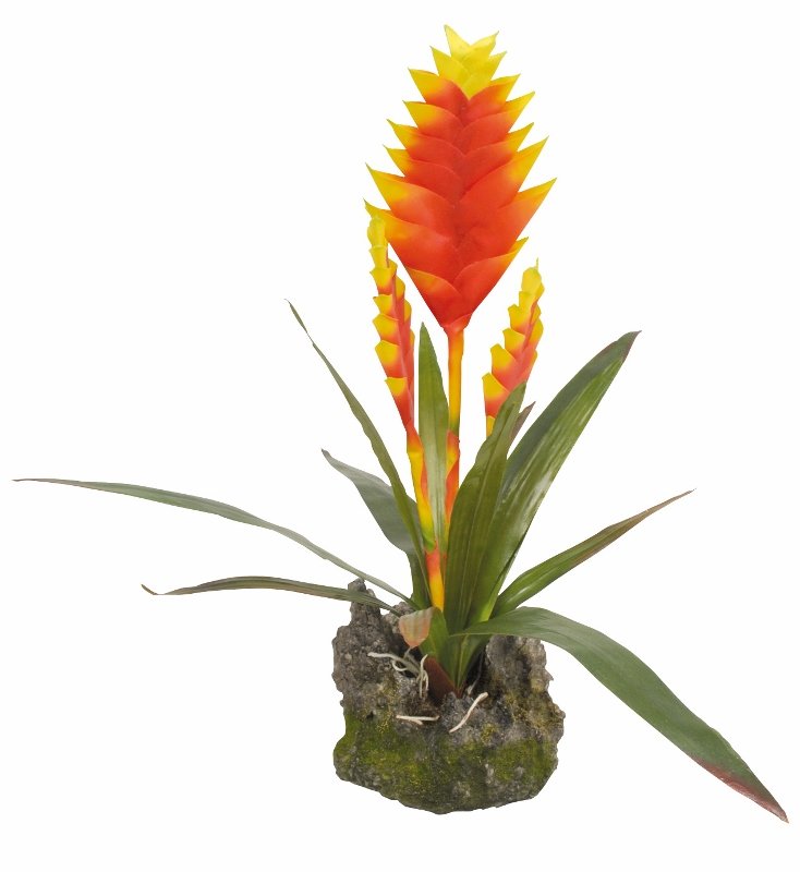 Bromelia Yellow 3 Flowers - Innredning & dekor - Zoo-1 Norge AS