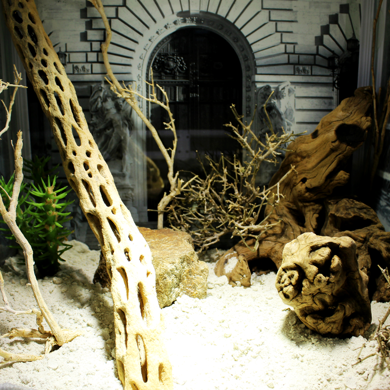 Innredning & dekor - Zoo-1 Norge AS